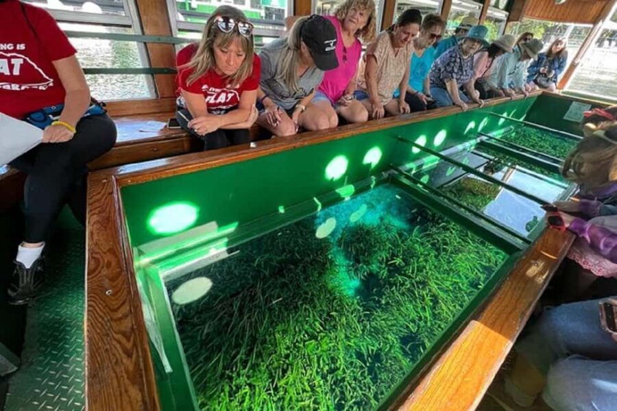 Small Group Silver Springs State Park Day Tour from Orlando - In-Depth Itinerary Breakdown