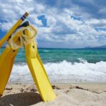 Small-Group Snorkel Adventure in San Jose del Cabo - The Itinerary and Highlights