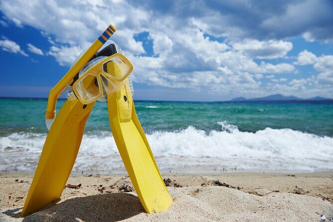 Small-Group Snorkel Adventure in San Jose del Cabo - The Itinerary and Highlights