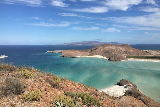 Small Group Snorkeling and Swim with Whale Sharks & Sea Lions in La Paz - The Value of the Experience