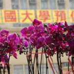 Small-Group Tour: Local Markets Hopper and Foodie in Hong Kong - Practical Considerations and Value