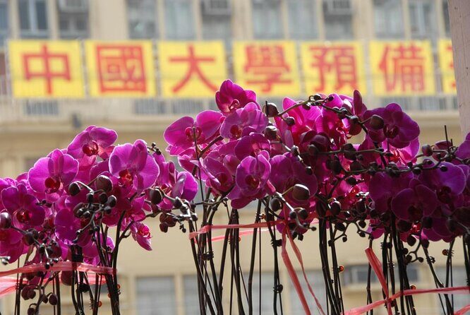 Small-Group Tour: Local Markets Hopper and Foodie in Hong Kong - Practical Considerations and Value