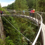 Small group tour of Capilano Bridge & Grouse Mountain - What to Expect on the Day