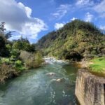 Small Group Tour To Karangahake Gorge & Waihi Gold Exploration - Coastal Leisure at Waihi Beach