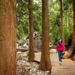 Small Group Tour: Vancouver Sightseeing and Capilano Suspension Bridge - What Travelers Say