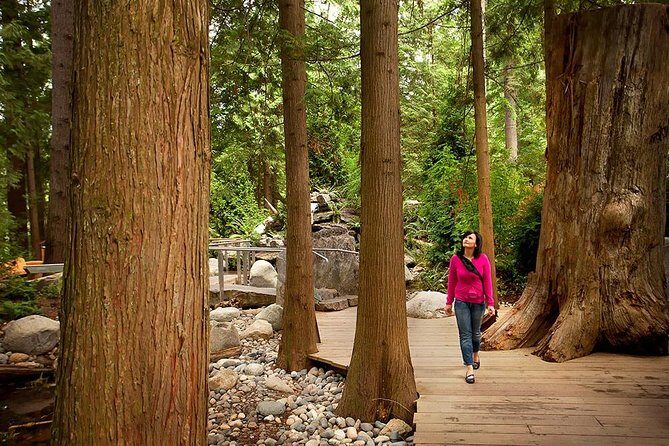 Small Group Tour: Vancouver Sightseeing and Capilano Suspension Bridge - What Travelers Say