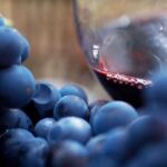 Small Group: Ultimate Yarra Valley Food and Wine - Transportation: Practical & Comfortable