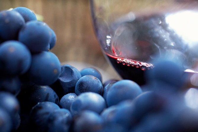 Small Group: Ultimate Yarra Valley Food and Wine - Transportation: Practical & Comfortable