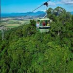 Small Group Waterfall Wetlands+ Skyrail All Inclusive from Cairns - Why This Tour Adds Value to Your Cairns Visit