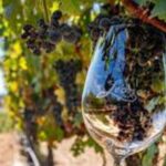 Small Group Wine Tour to Temecula from Los Angeles - Who Would Enjoy This Tour?
