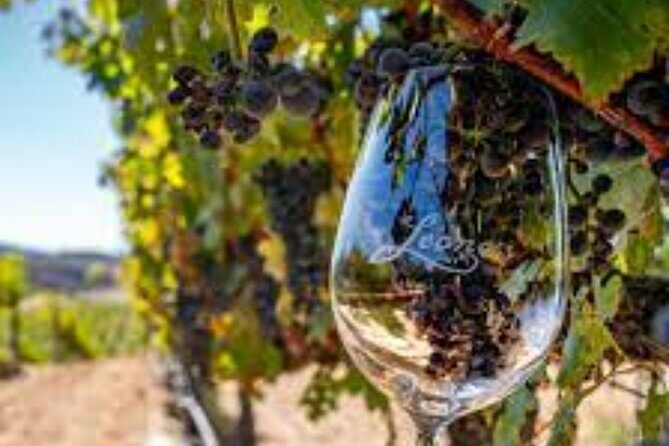 Small Group Wine Tour to Temecula from Los Angeles - Who Would Enjoy This Tour?