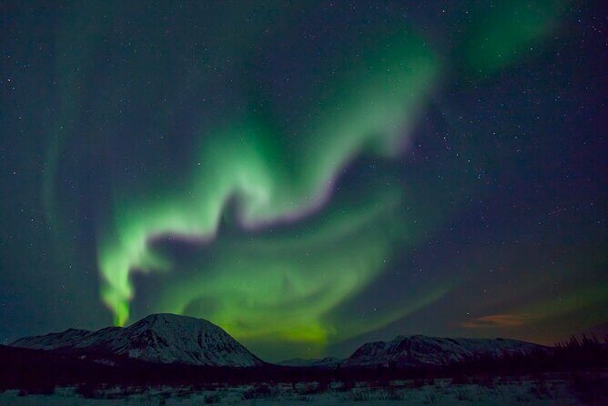 Small Group Yukon Aurora Viewing - Who Will Love This Tour?