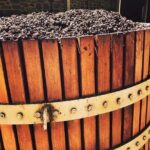 Small Tour Barossa Valley Voyager Tour from Adelaide - Value and Practicality