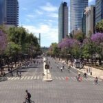 Small VIP Group: The Ultimate Mexico City Tour - An In-Depth Look at the Mexico City Experience