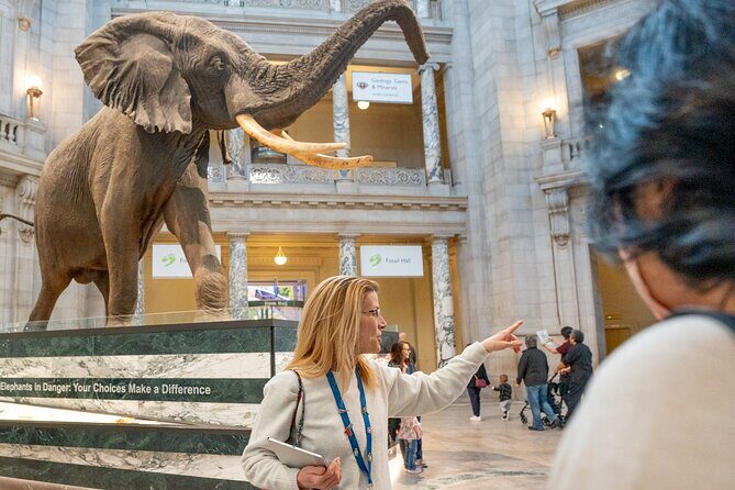 Smithsonian Natural History Museum Semi-Private Guided Tour - Whats Included and How to Make the Most of It