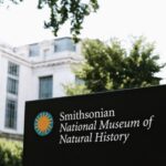 Smithsonian Natural History Museum Tour Semi-Private 8ppl - Detailed Breakdown of the Itinerary