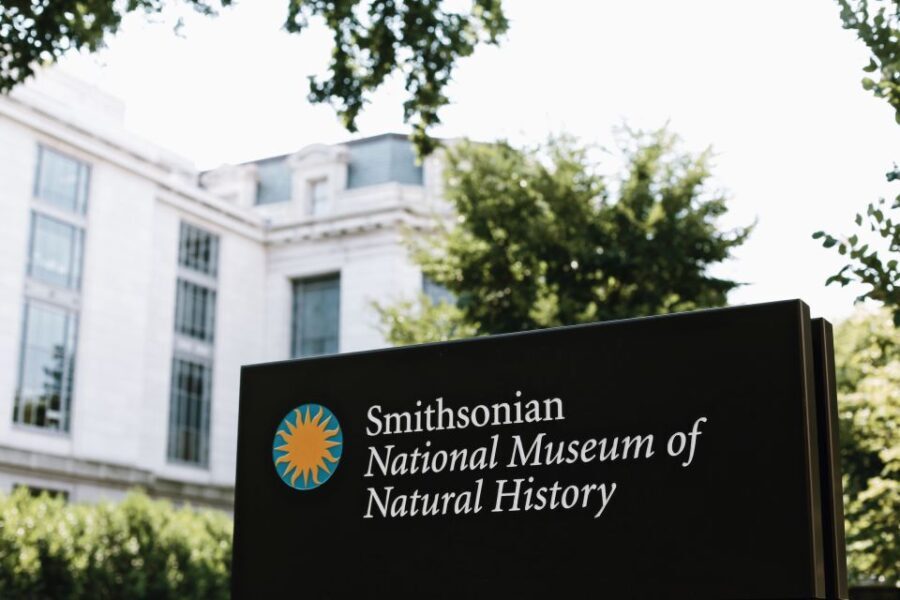Smithsonian Natural History Museum Tour Semi-Private 8ppl - Detailed Breakdown of the Itinerary