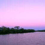 Smithys Sunset Cruise - Final Thoughts