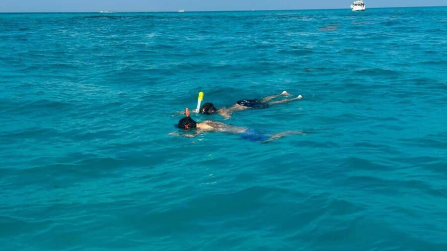 Snorkel Adventure for All Ages in Cancun 2.5 hrs - Who Will Love This Tour?