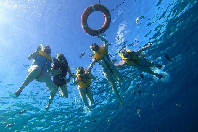 Snorkel along the coast, explore two reefs by Chivis del Mar - The Whole Experience