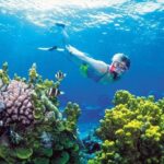 Snorkel, ATV, Zipline and Cenote Adventure from Cancun - The Sum Up: Is This Tour Worth It?