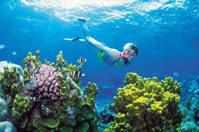 Snorkel, ATV, Zipline and Cenote Adventure from Cancun - The Sum Up: Is This Tour Worth It?