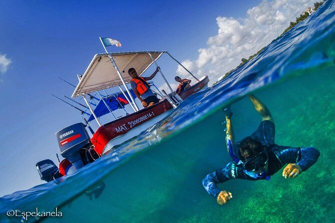 Snorkel boat tour in search of turtles - Equipment & Assistance