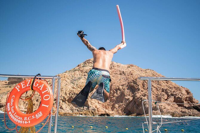 Snorkel Cruise in Los Cabos - FAQs