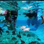 Snorkel in Cozumel and visit to El Cielo - The Practicalities: What to Expect and What You’ll Need