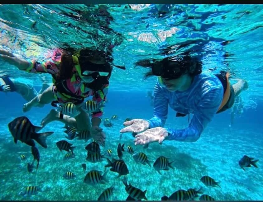 Snorkel in Cozumel and visit to El Cielo - The Practicalities: What to Expect and What You’ll Need