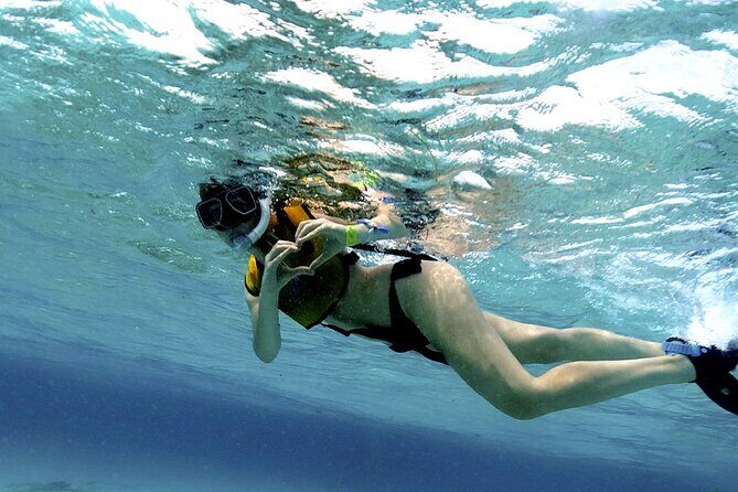 Snorkel & Parasail from Cancun - Who Will Enjoy This Tour?