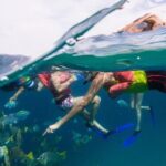 Snorkel Tour and Glass-Bottom Boat Ride in Cabo San Lucas - The Experience: Pros and Cons