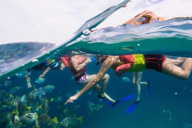 Snorkel Tour and Glass-Bottom Boat Ride in Cabo San Lucas - The Experience: Pros and Cons
