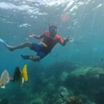 Snorkel Tour in private Trimarán in Los Cabos - What’s included and what to consider