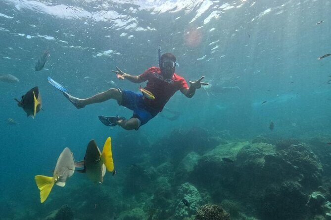 Snorkel Tour in private Trimarán in Los Cabos - What’s included and what to consider