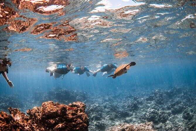 Snorkel with Turtles and Free Underwater Photos Lahaina - Practical Considerations