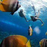Snorkeling 3 Spots with GoPro & West Coast Tour Nusa Penida - Transport & Group Size