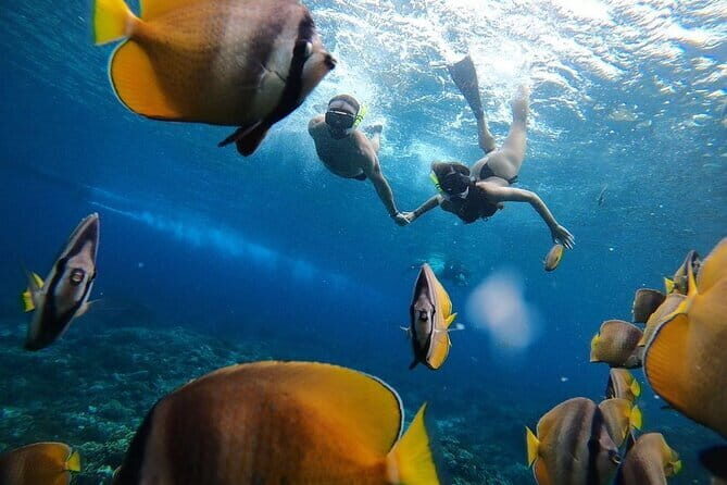 Snorkeling 3 Spots with GoPro & West Coast Tour Nusa Penida - Transport & Group Size