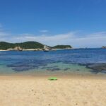 snorkeling adventure - The Reviews – The Truth in Traveler Feedback