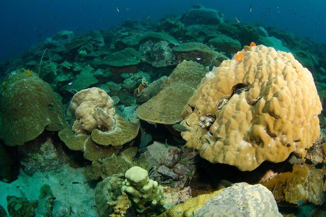 Snorkeling Adventure at Koh Chang  Departing from Koh Chang - Detailed Itinerary Breakdown