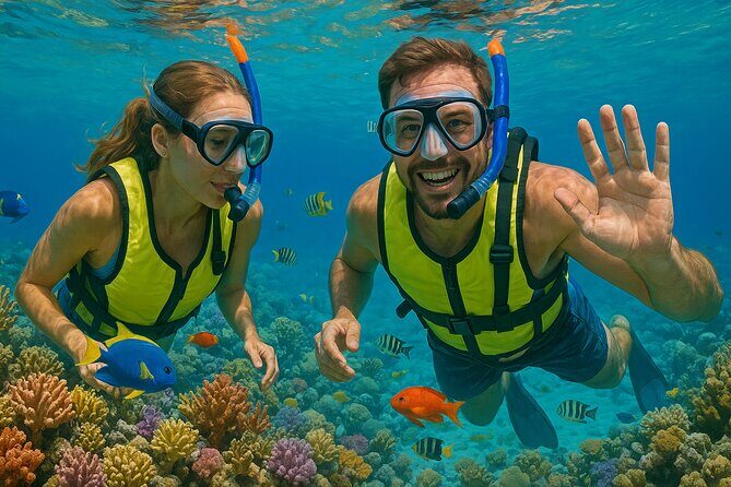 Snorkeling adventure at Puerto Morelos Reef National Park - Why This Tour Excels