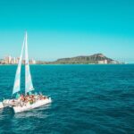 Snorkeling Adventure at Turtle Canyon - The Itinerary in Detail
