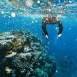 Snorkeling Adventure in La Jolla - The Sum Up: Who Will Love This Tour?