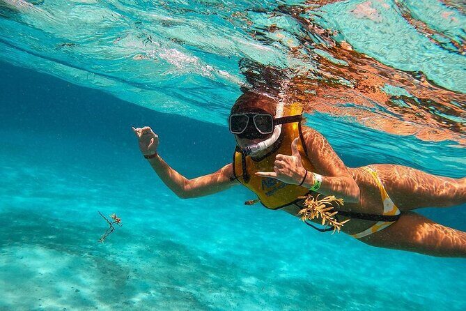 Snorkeling Adventure in Tulum Beach, Kaan Luum Lagoon and Cenote - Who Would Love This Tour?