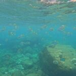 Snorkeling at Angel Rock - The Snorkeling Gear: What’s Included?