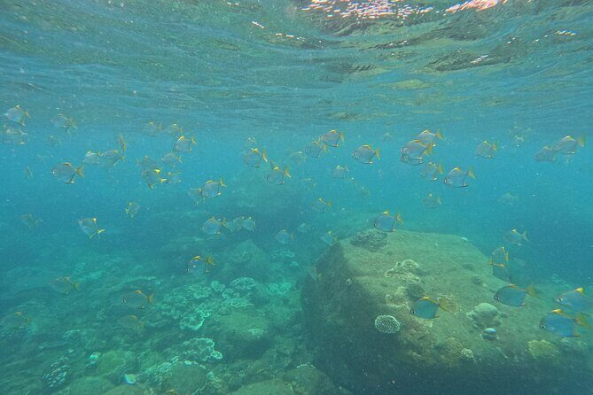 Snorkeling at Angel Rock - The Snorkeling Gear: What’s Included?