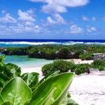 Snorkeling at Top Rock with Yumi Tours - What Travelers Say