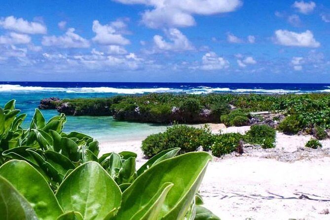 Snorkeling at Top Rock with Yumi Tours - What Travelers Say