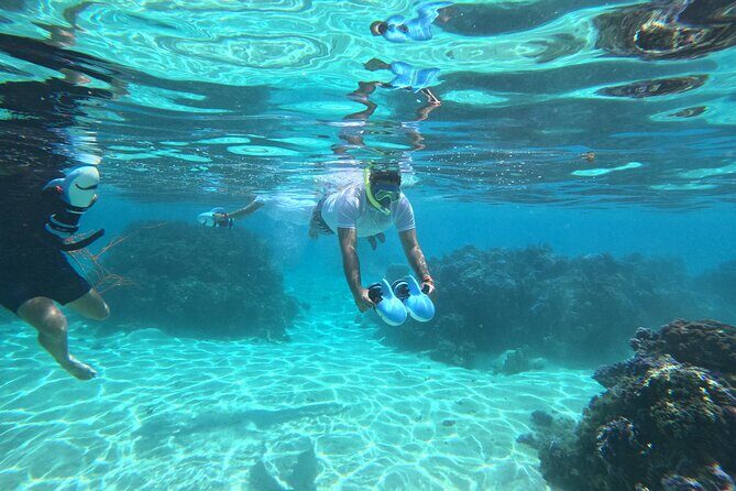 Snorkeling EN Underwater Scooter in Tahiti - Who Is This Tour Perfect For?