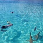 Snorkeling excursion, discovery of the lagoon, small group. - The Itinerary: What You Can Expect